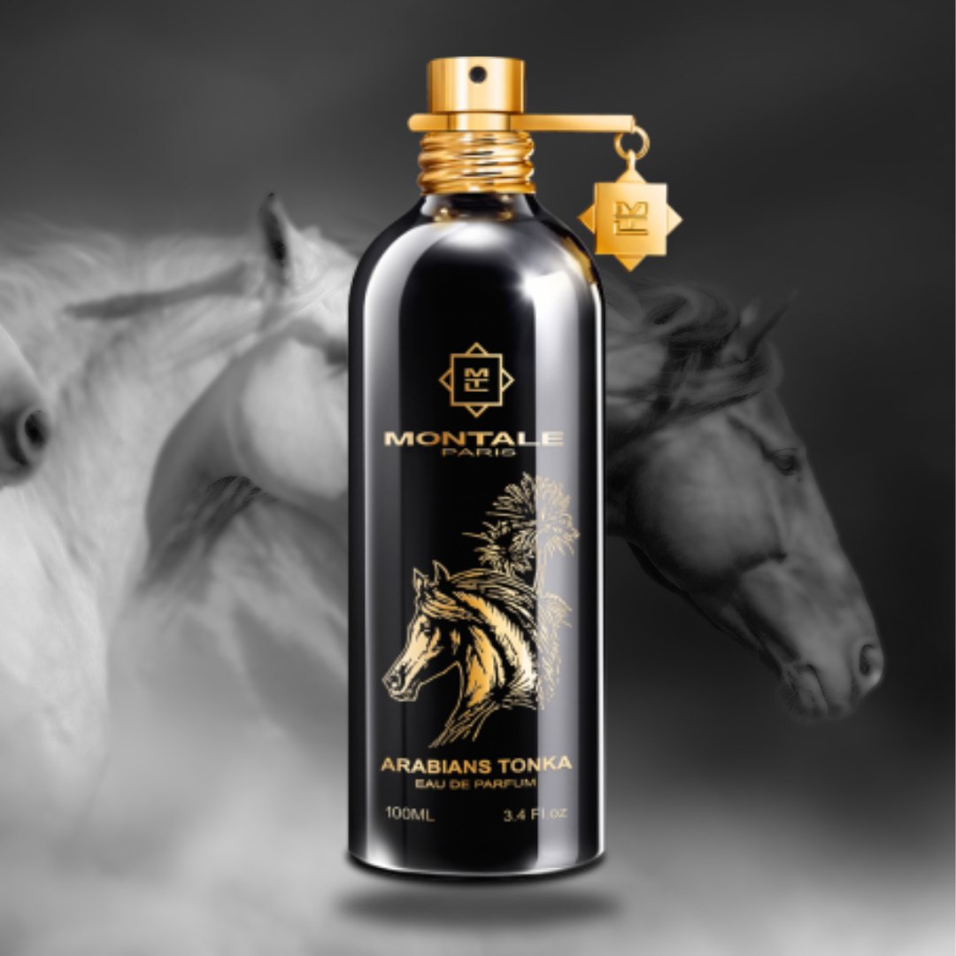 Montale Arabians Tonka Probe